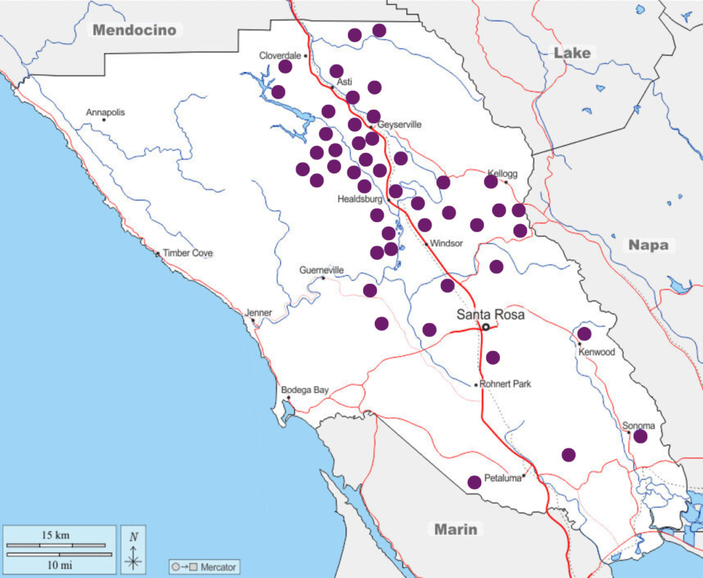 Clendenen Vineyard Management | Expert Vineyard Services