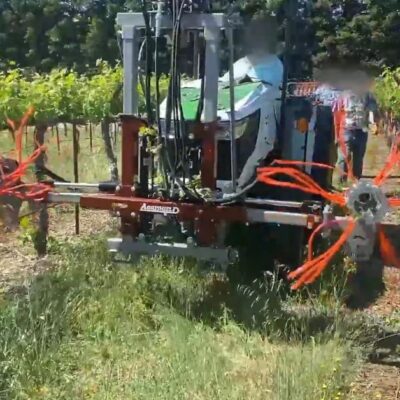 The True Cost of Vineyard Ownership: What You Should Know